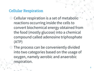 Aerobic-and-Anaerobic-Respiration.pptx