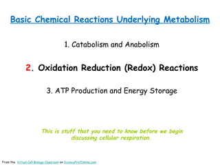 Aerobic-Respiration-Biology-Lecture-PowerPoint-VCBCct.pptx