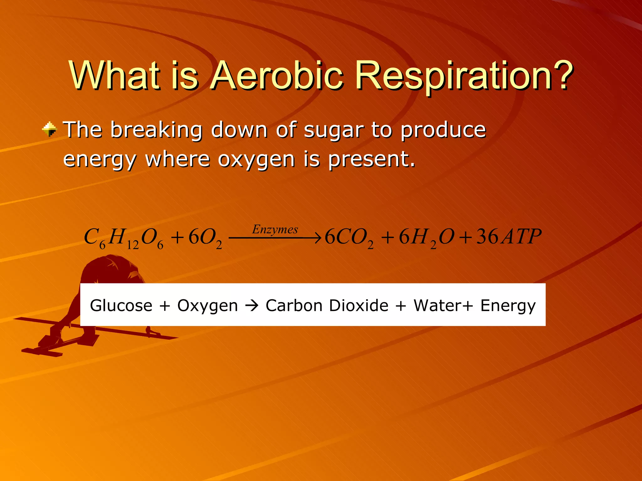 Aerobic anaerobic respiration | PPT