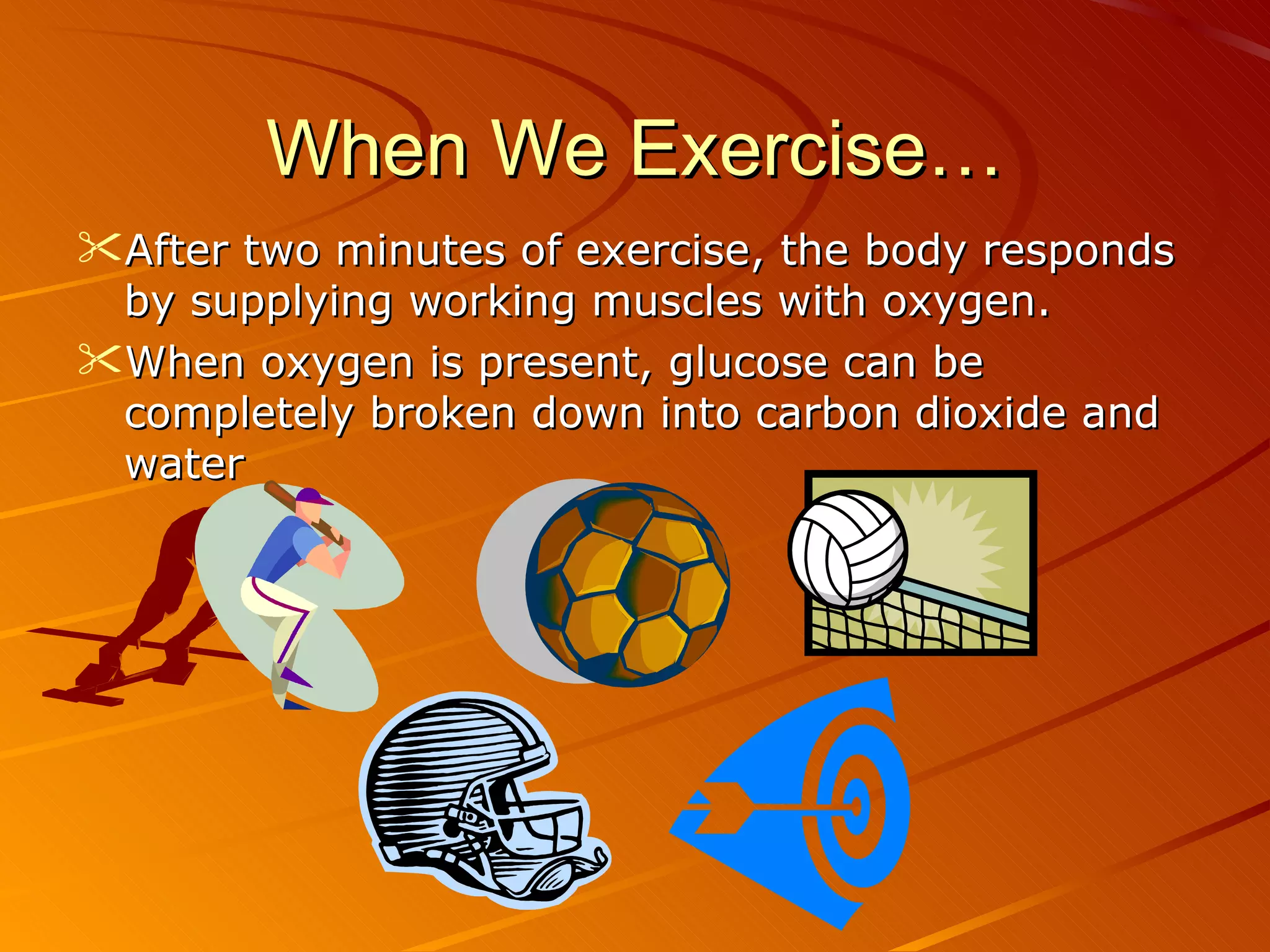 Aerobic anaerobic respiration | PPT