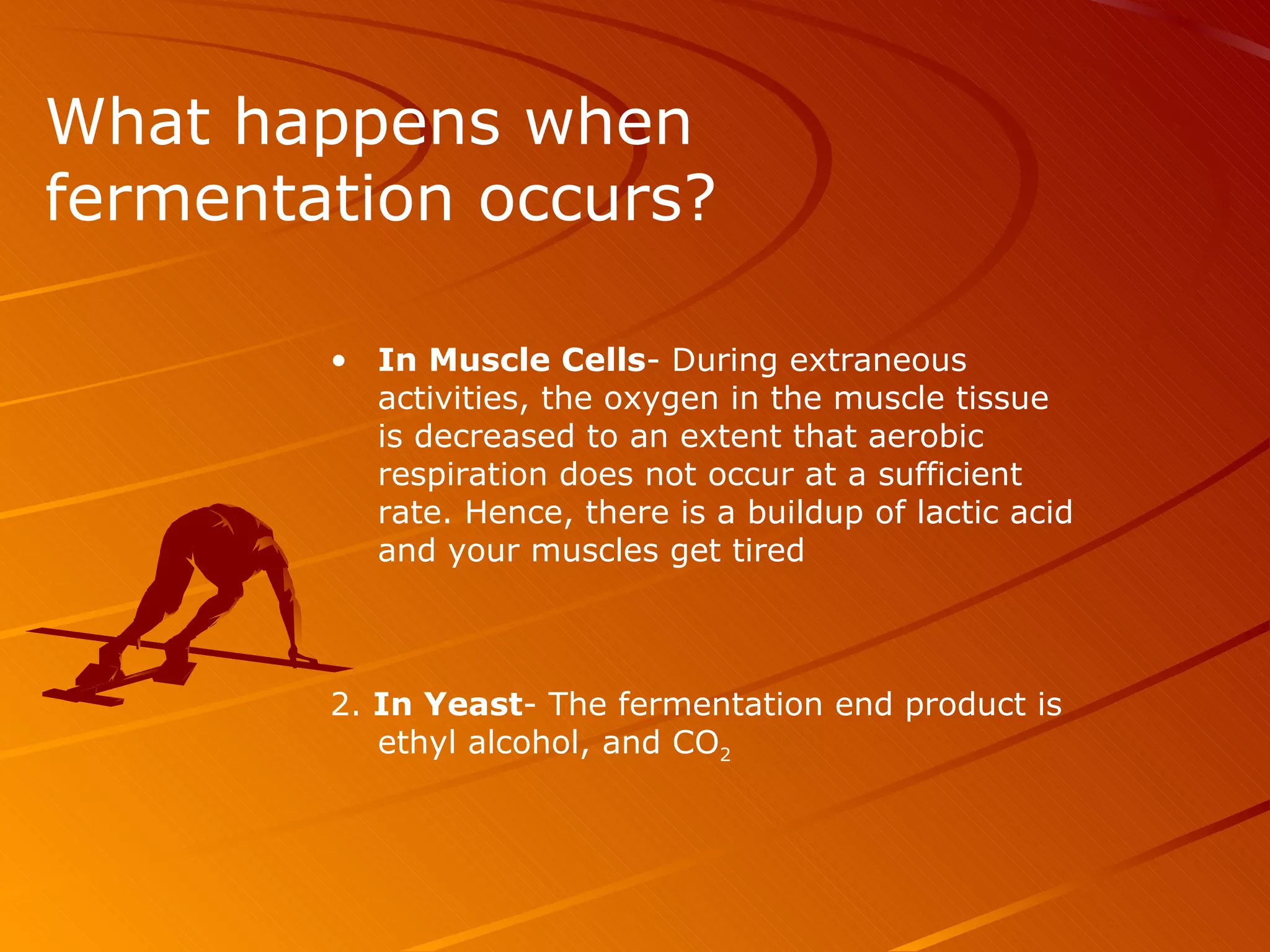 Aerobic anaerobic respiration | PPT