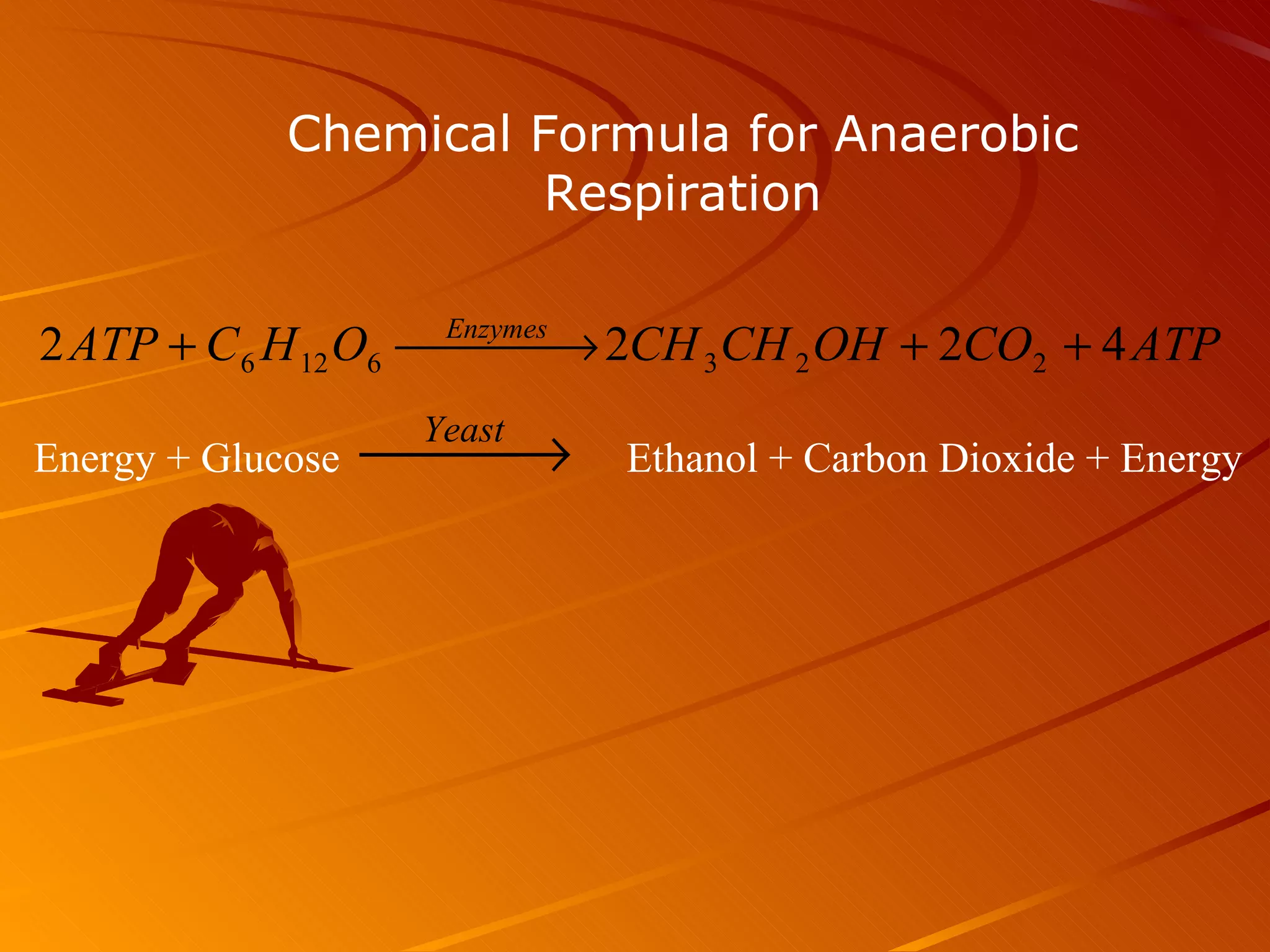 Aerobic anaerobic respiration | PPT