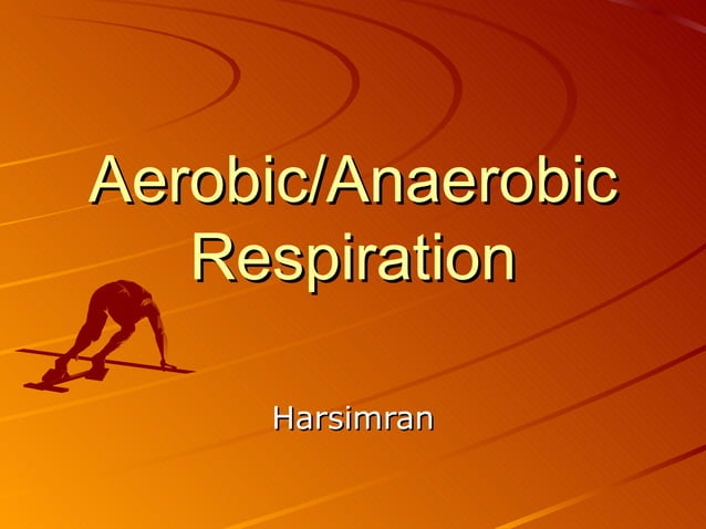 Aerobic anaerobic respiration | PPT