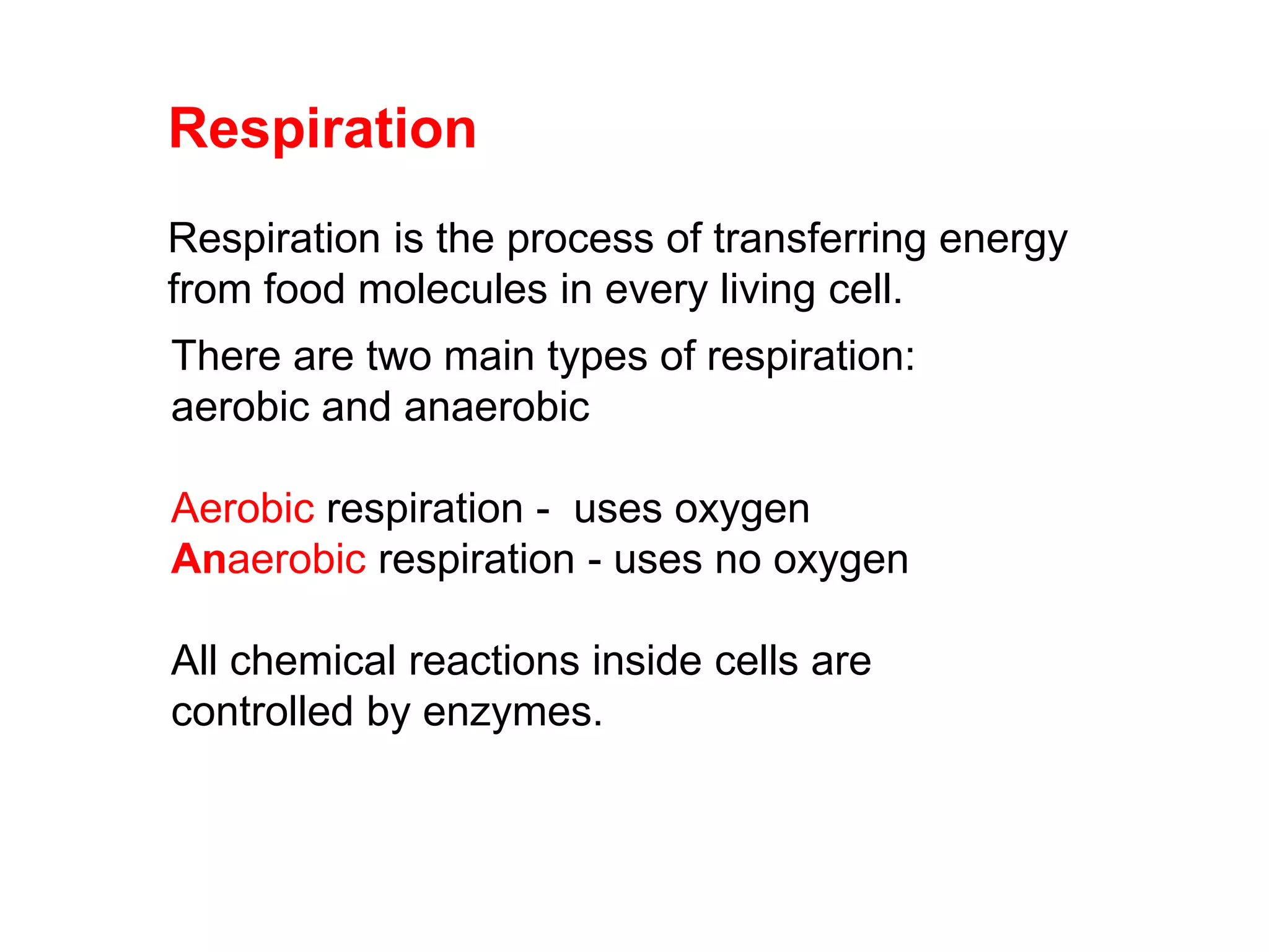 What Is The Chemical Equation For Aerobic And Anaerobic Respiration