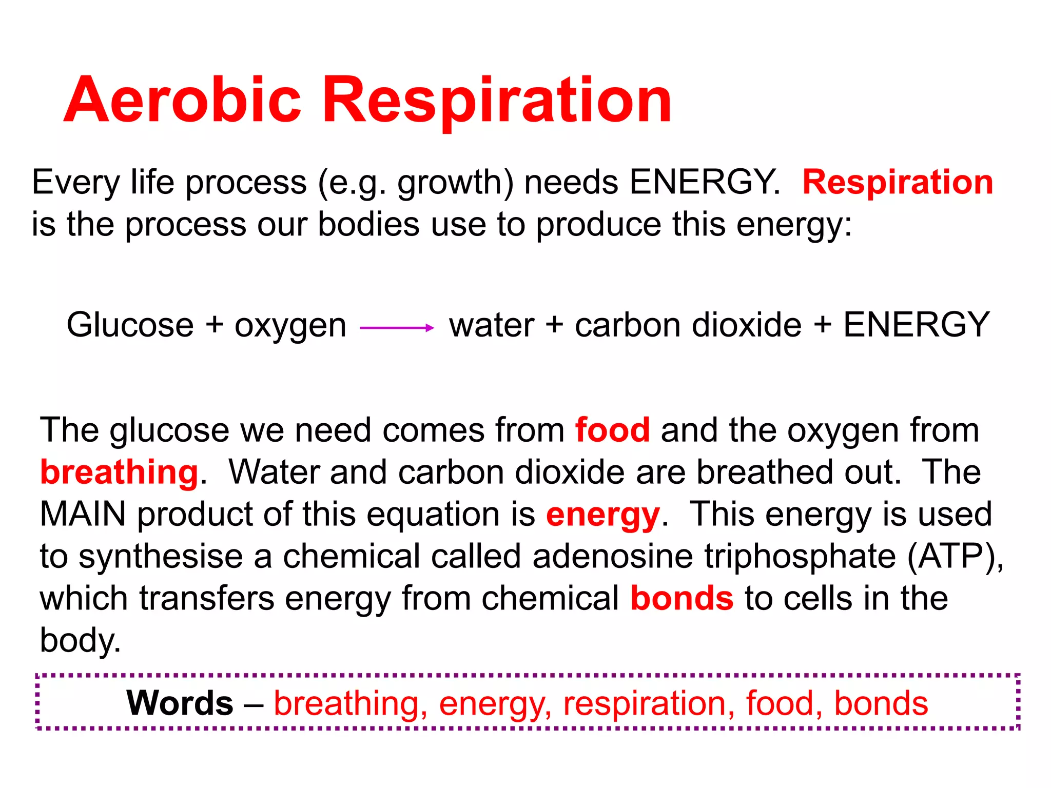 Aerobic & anaerobic respiration | PPTX