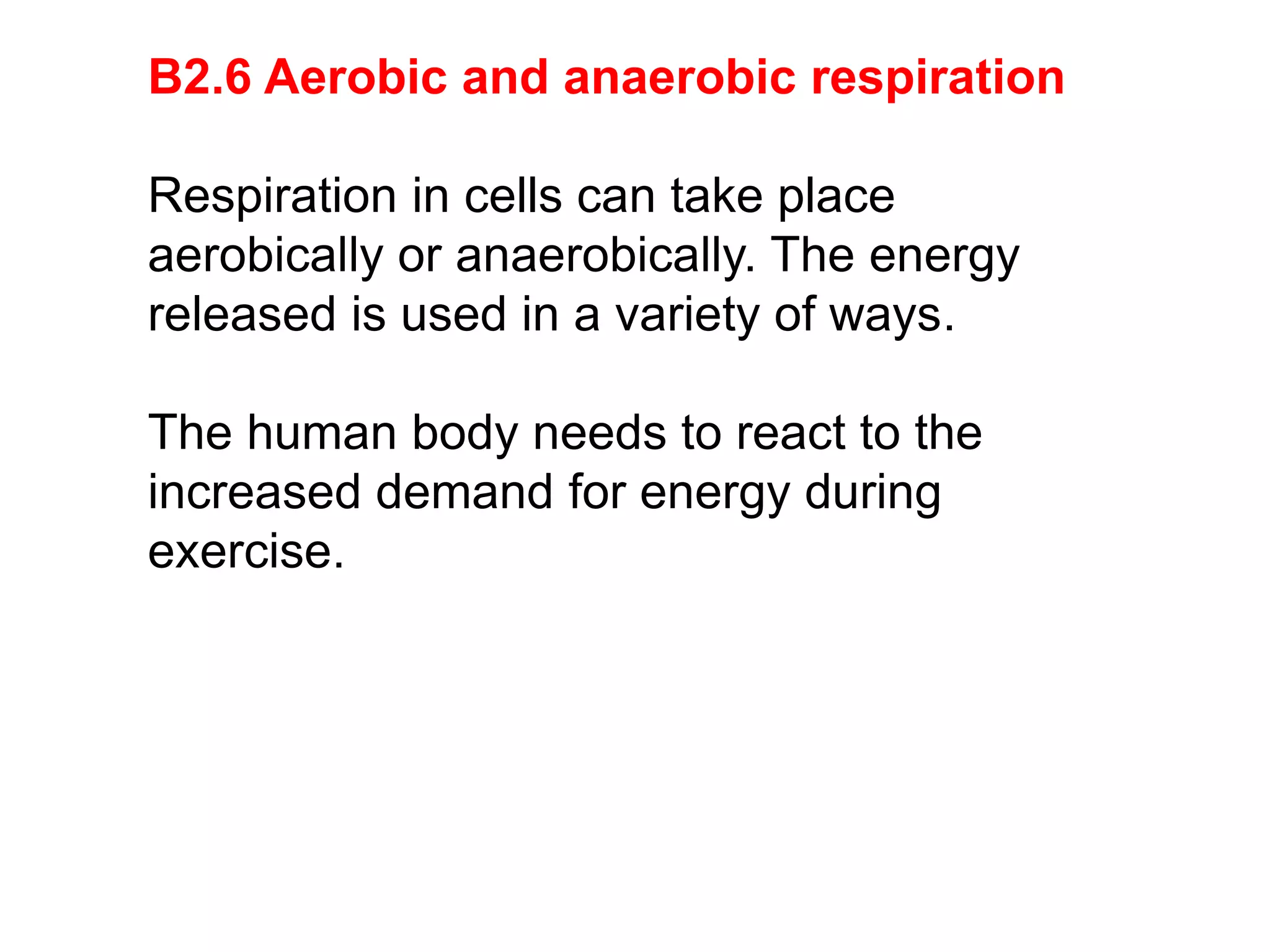 Bacterial Anaerobic Respiration Ppt
