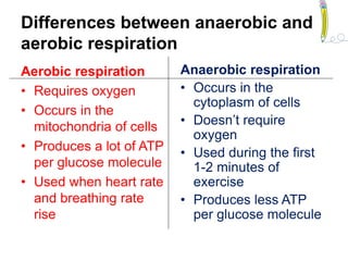 Aerobic Respiration Vs Anaerobic Respiration