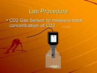 Aerobic_Anaerobic_Respiration.ppt