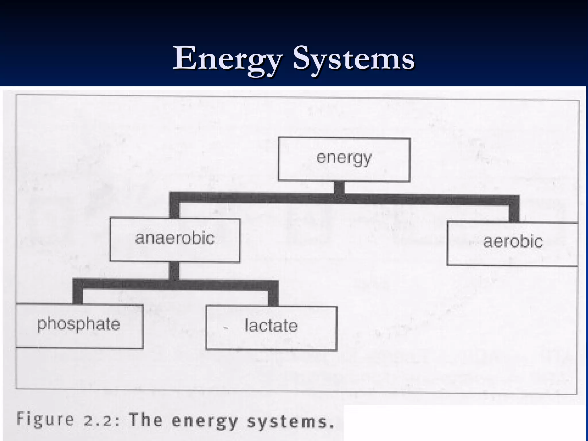 Aerobic and anaerobic training | PPT