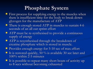Aerobic and anaerobic training | PPT