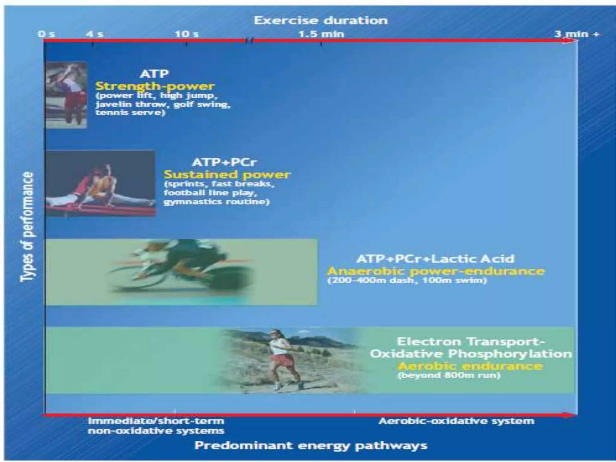 Aerobic and anaerobic | PPTX