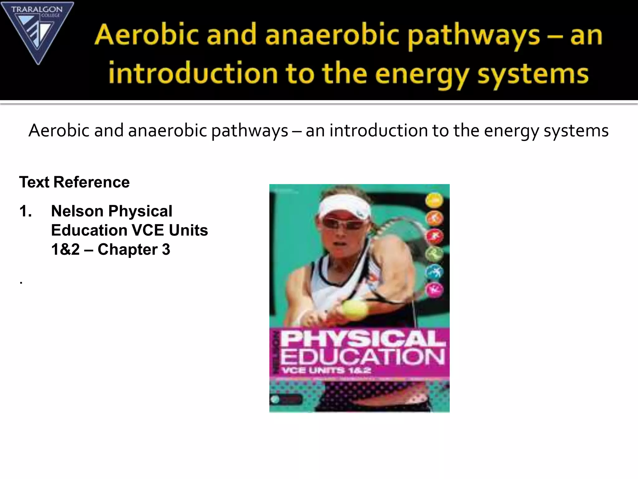 aerobic and anaerobic.pptx