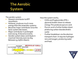 aerobic and anaerobic.pptx