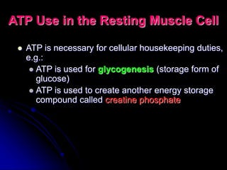 AerobicandAnaerobic MuscleMetabolism (1).ppt