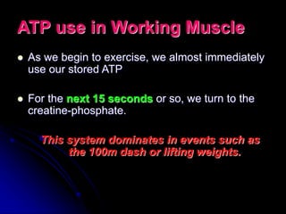 AerobicandAnaerobic MuscleMetabolism (1).ppt