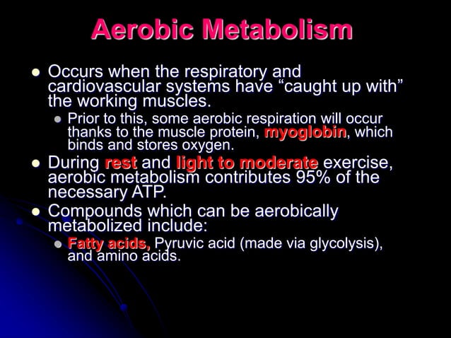 AerobicandAnaerobic MuscleMetabolism (1).ppt
