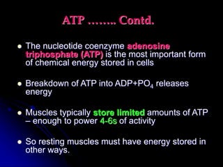 AerobicandAnaerobic MuscleMetabolism (1).ppt