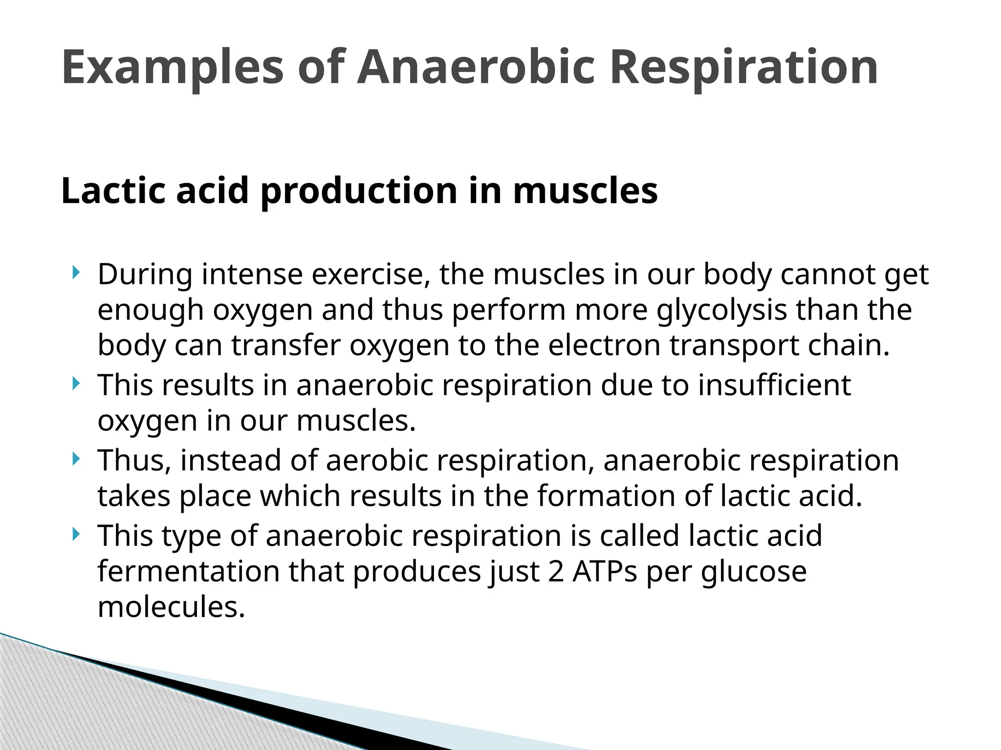 Aerobic And Anaerobic Processes details.pptx