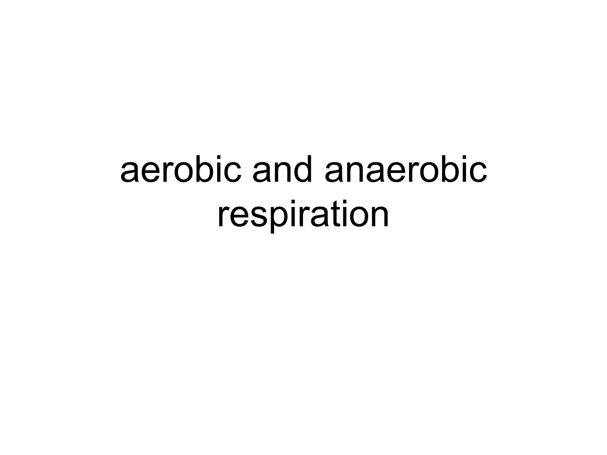 aerobic and anaerobic respiration.pptx