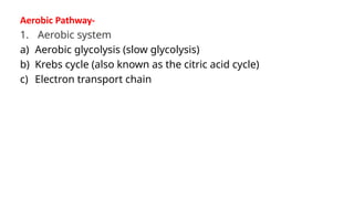 AEROBIC AND ANAEROBIC SYSTEM.pptx9768960 | PPT