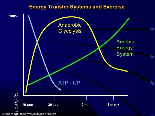 Aerobic and anaerobic tests