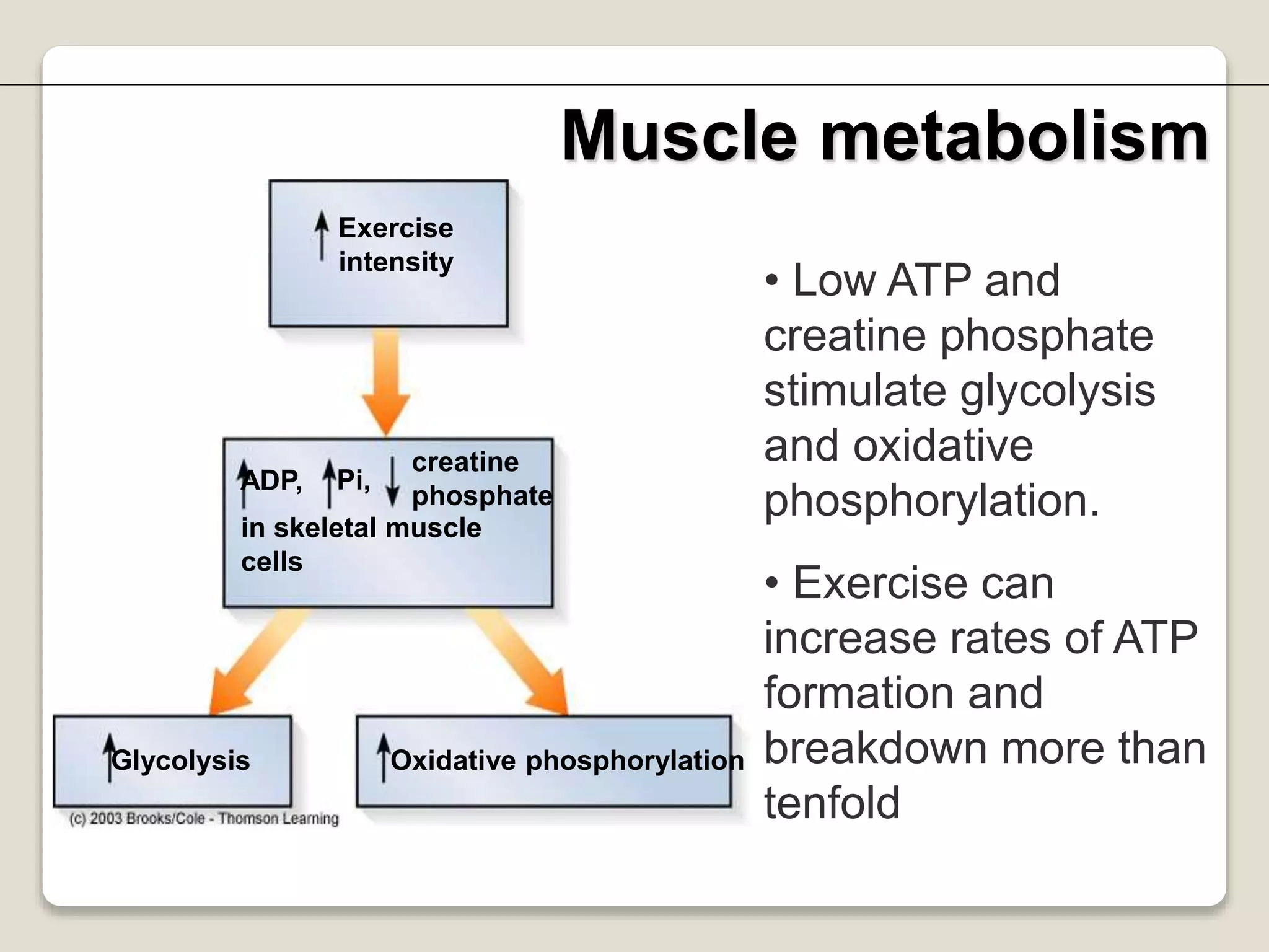 Aerobic and anaerobic training | PPTX