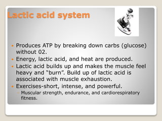 Aerobic and anaerobic training | PPTX