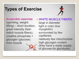 Types Of Anaerobic Exercise
