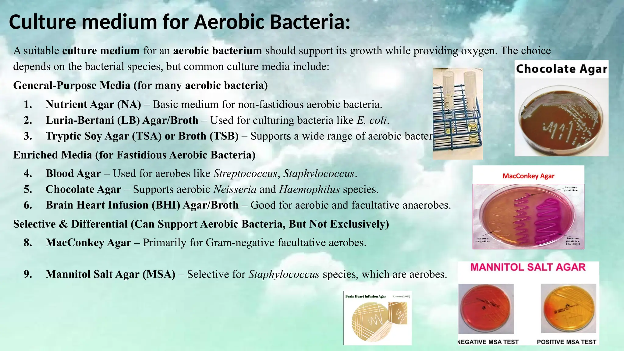 Aerobic Bacteria and Their Specific Culture Media - Microbiology PPT by ...