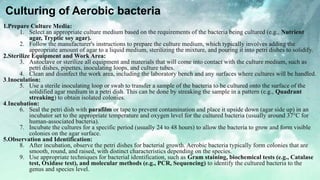 Aerobic Bacteria and Their Specific Culture Media - Microbiology PPT by ...