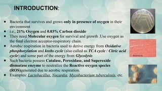 Aerobic Bacteria and Their Specific Culture Media - Microbiology PPT by ...