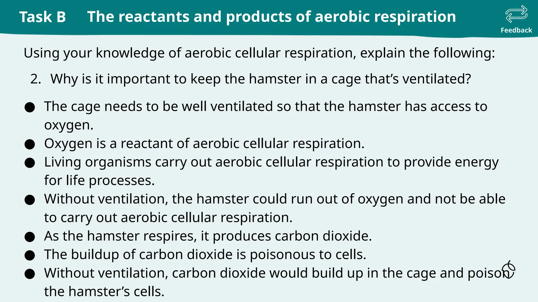 Presentation on aerobic cellular respiration.pptx