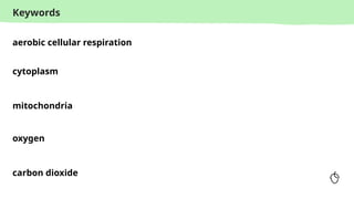 Presentation on aerobic cellular respiration.pptx