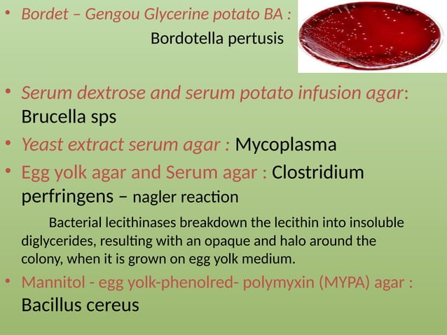 aerobic culture media-1 (1)............................ | PPTX ...