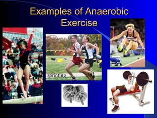 Aerobic exercise and Anaerobic exercise | PPT