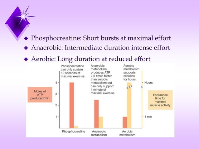 Aerobic Exercise for physiotherapy students | PPT | Lung and Respiratory Health | Diseases and ...