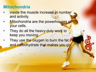 Aerobic lecture, | PPT
