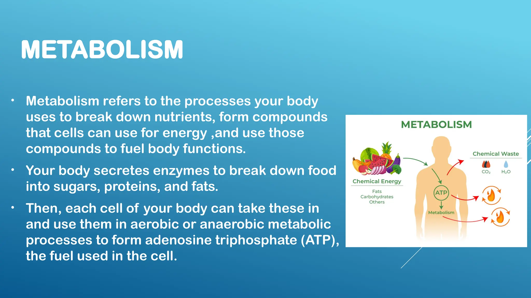 Introduction to the Aerobic metabolism.pptx