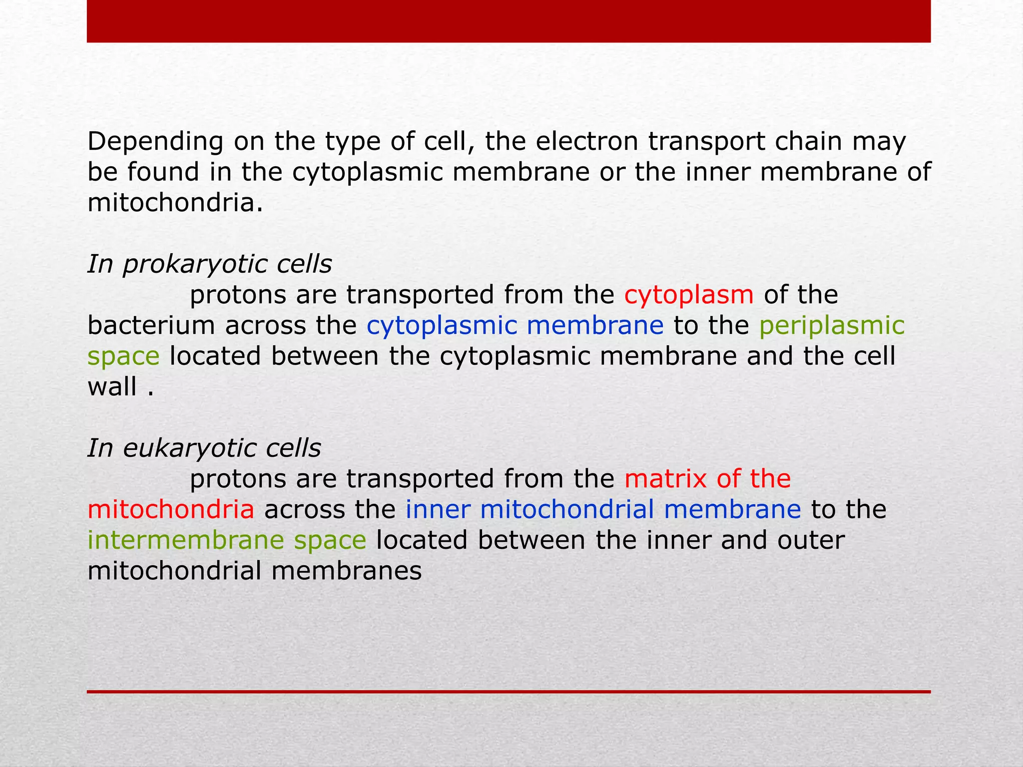 Aerobic Metabolism 2018 P1.pptx