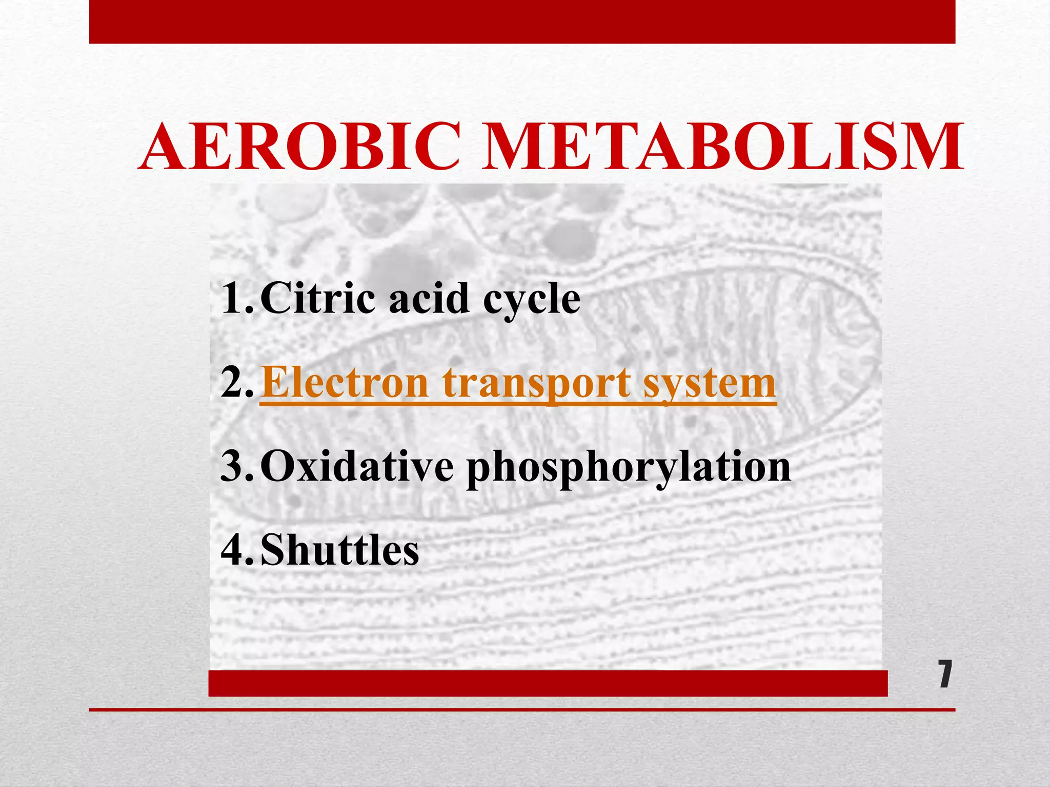 Aerobic Metabolism 2018 P1.pptx
