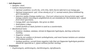 Aerobic Non-Spore-Forming Gram-Positive Bacilli | PPTX