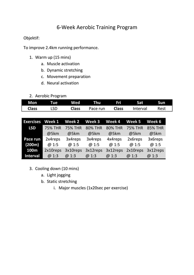 Aerobic program example | DOCX