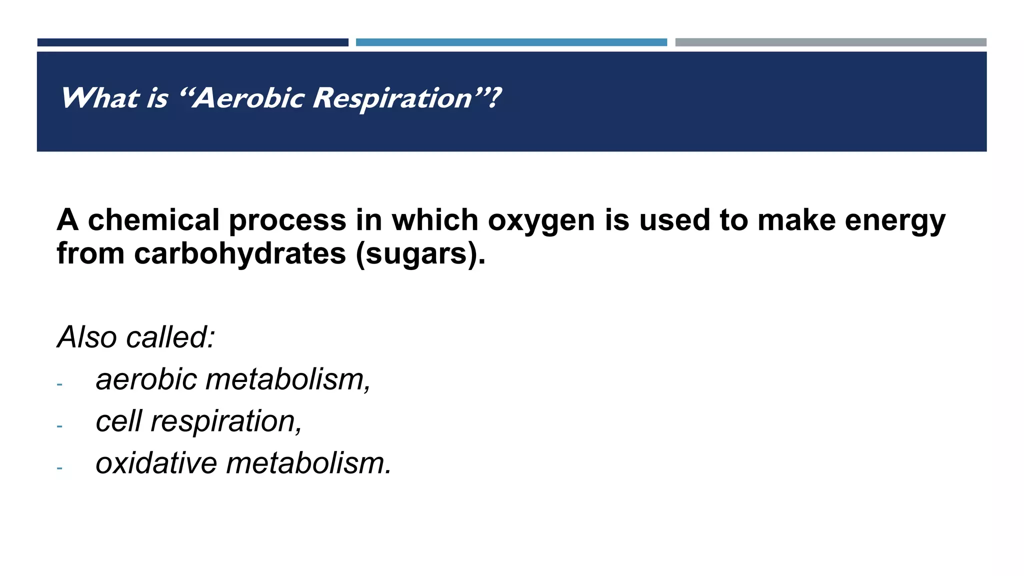 Aerobic Respiration.pptx.pdf
