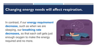 Aerobic Respiration.pptx.pdf