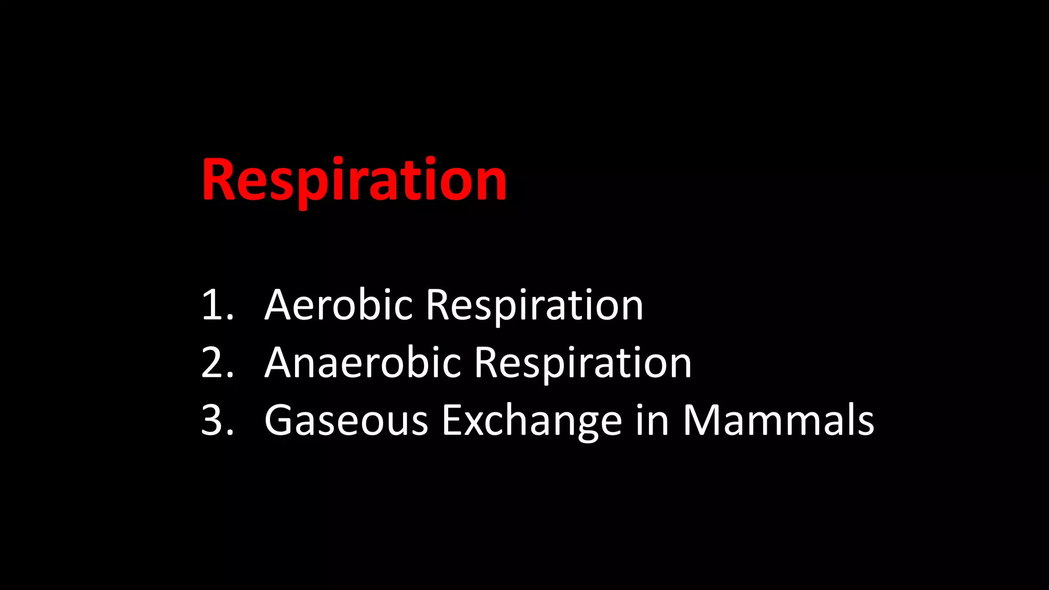 Aerobic Respiration.pptx