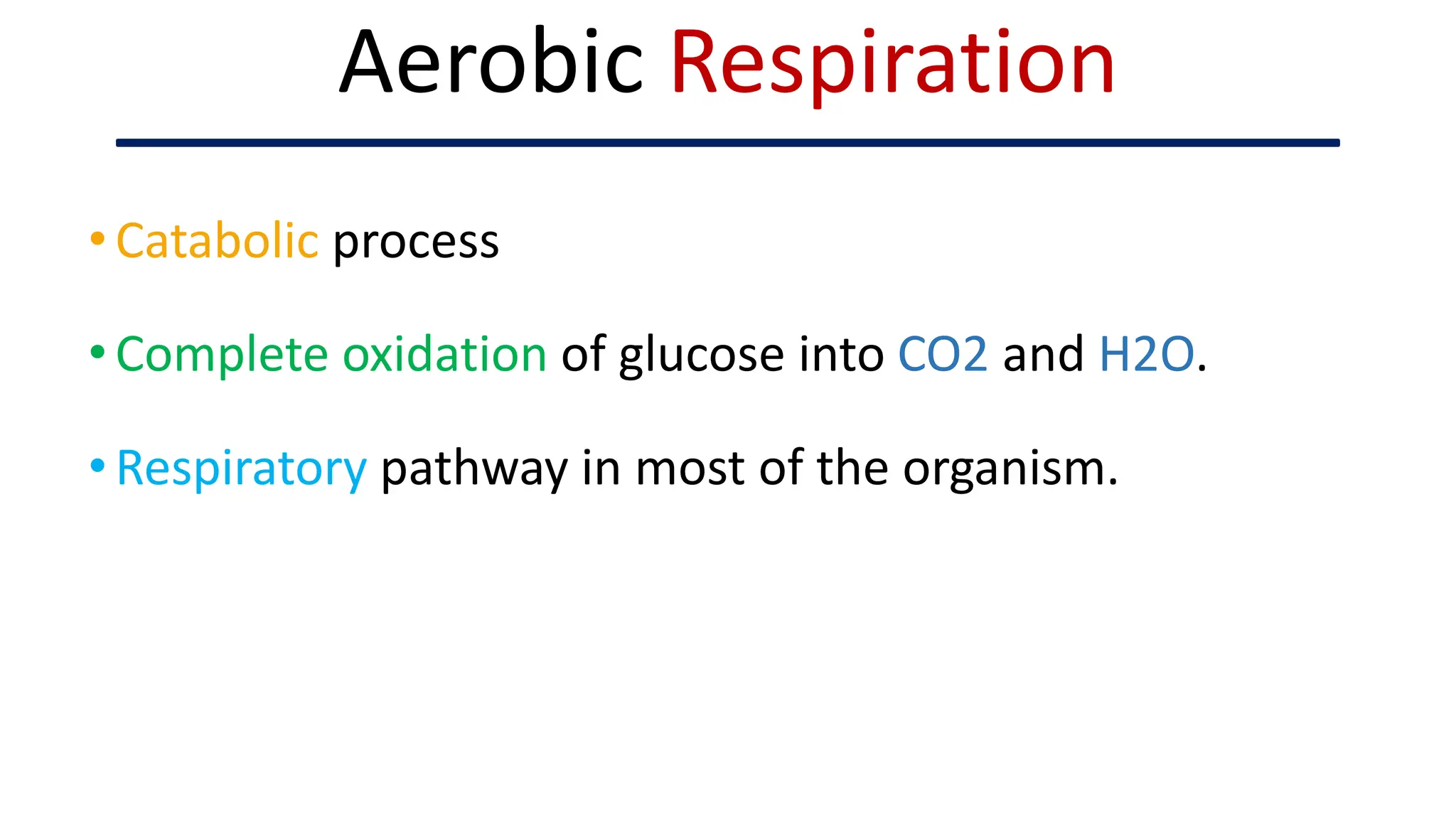 aerobic respiration.pptx