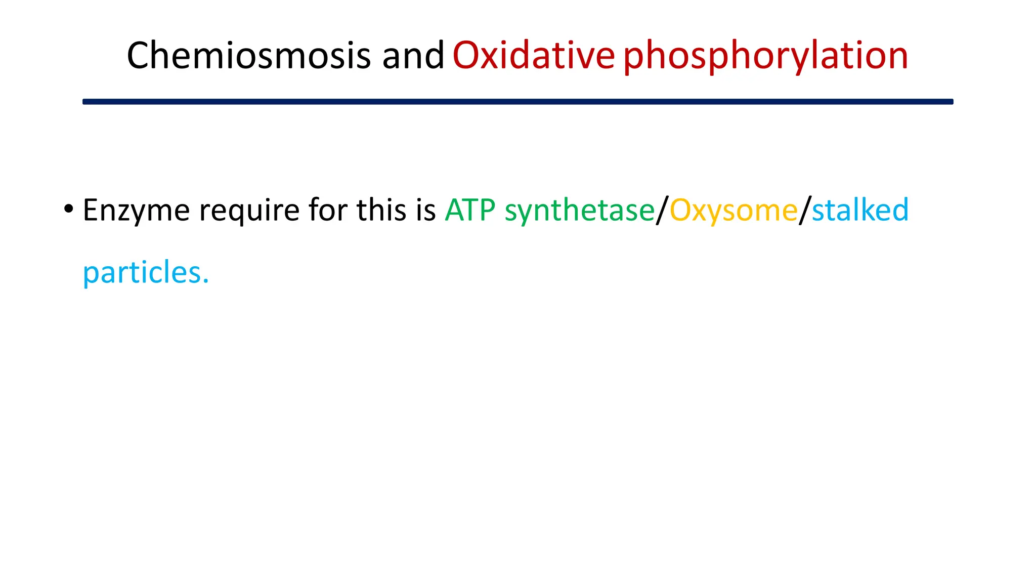 aerobic respiration.pptx