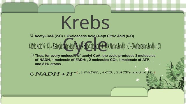 Aerobic Respiration microbiology aa.pptx