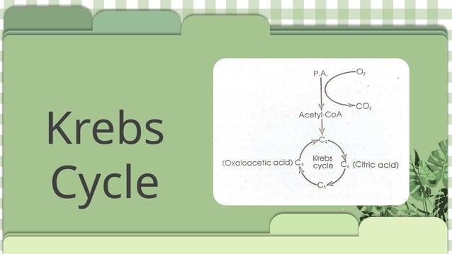 Aerobic Respiration microbiology aa.pptx