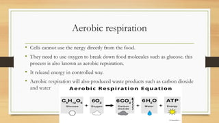 Aerobic respiration in animals and plants.pptx